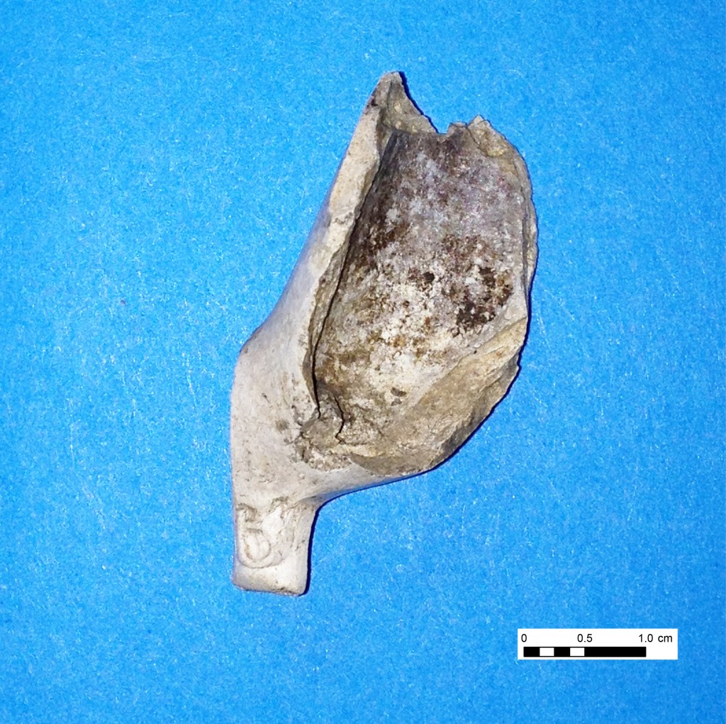 Evidence and Story – Archaeology in Edmonton – Edmonton City as Museum ...