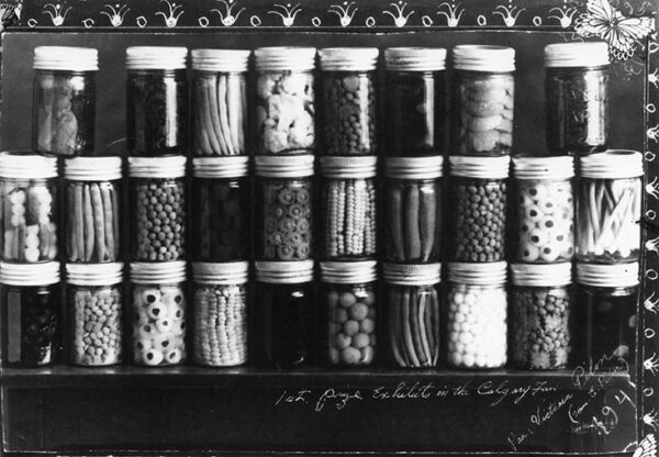 In Dark Times, Go to the Garden: Part 2 – Edmonton City as Museum ...