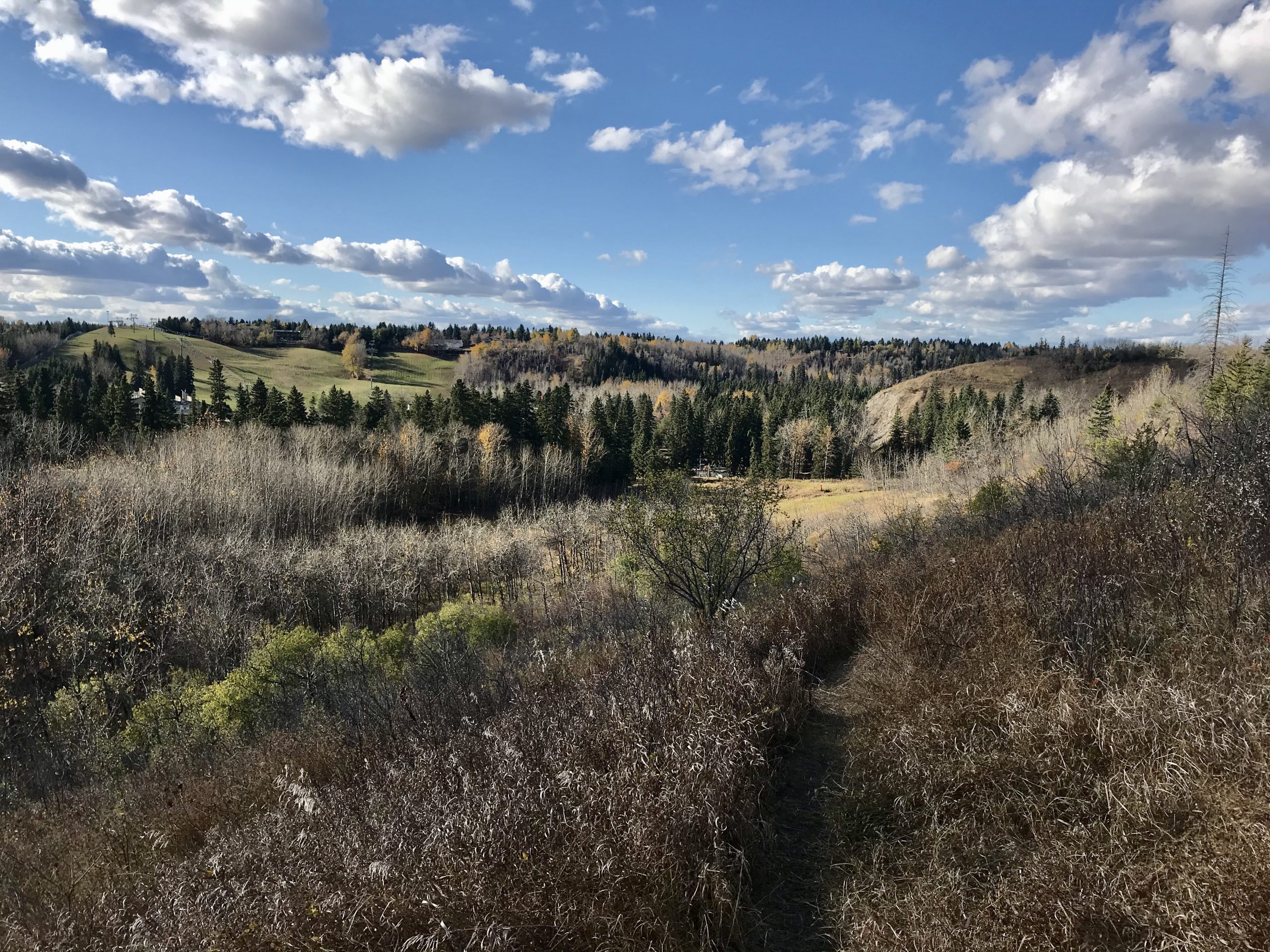 The Last Edmonton Coal Mine: Whitemud Creek | Edmonton City as Museum ...
