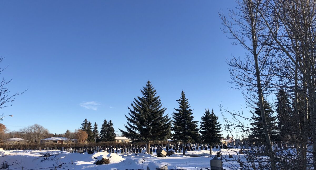 Forest Heights: A Hidden Pocket of History – Edmonton City as Museum ...