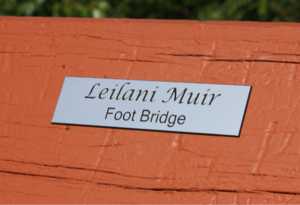 Leilani Muir and Eugenics in Alberta | Edmonton City as Museum Project ...