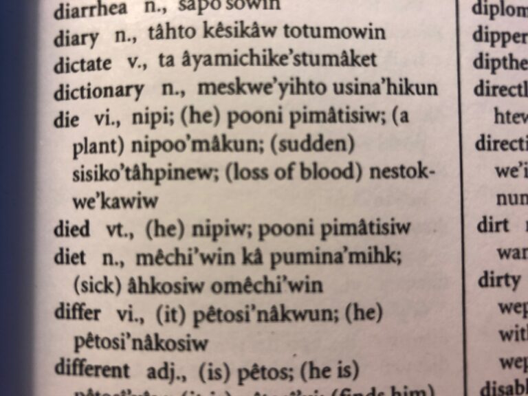 The “Grand Lady of the Métis:” Dr. Anne Anderson’s mission to preserve ...