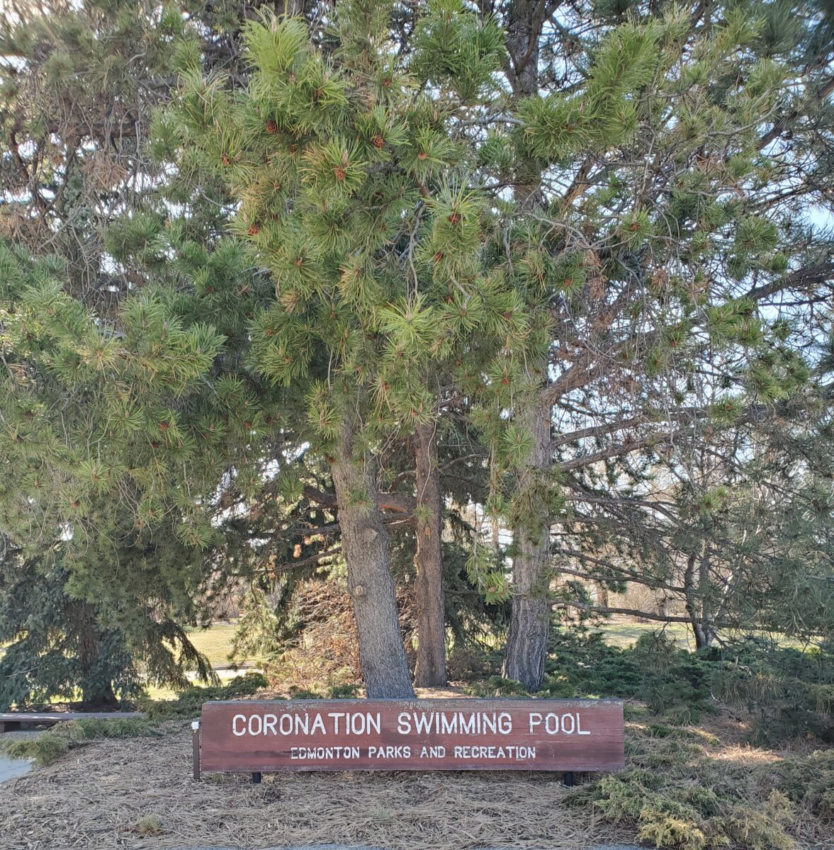 Peter Hemingway Fitness and Leisure Centre: Architectural Masterpiece ...
